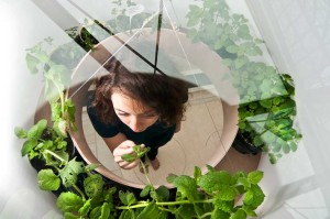 SENSORIUM - Les M Studio