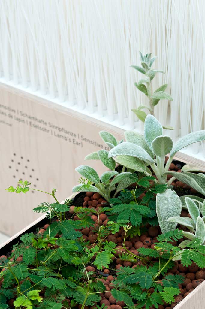 SENSORIUM - Les M Studio